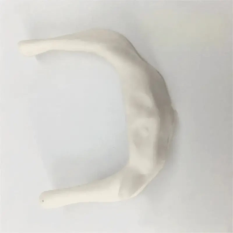 Hyoid Bone Model