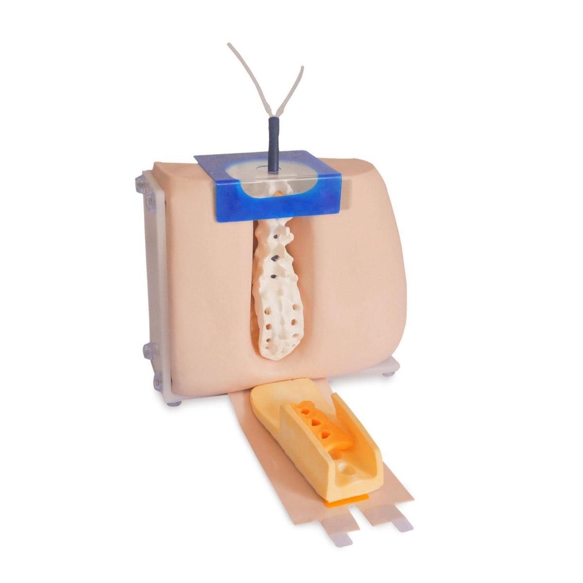 Spinal Injection Simulator