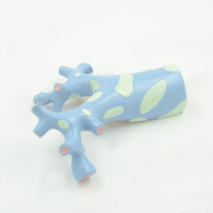 Pathology of the Human Trachea and Bronchi Model