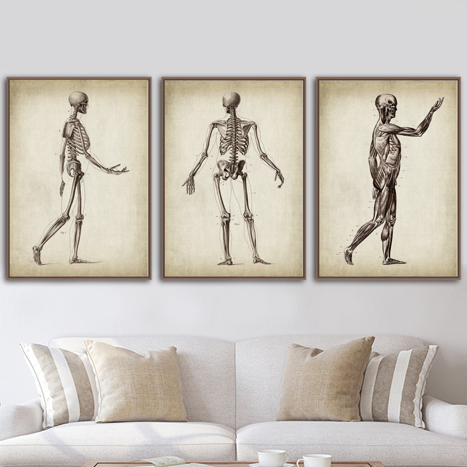 Anatomy Art Print - Human Body