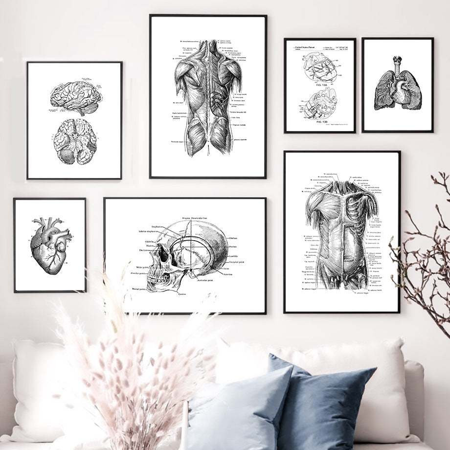 Anatomy Art Print - Neck