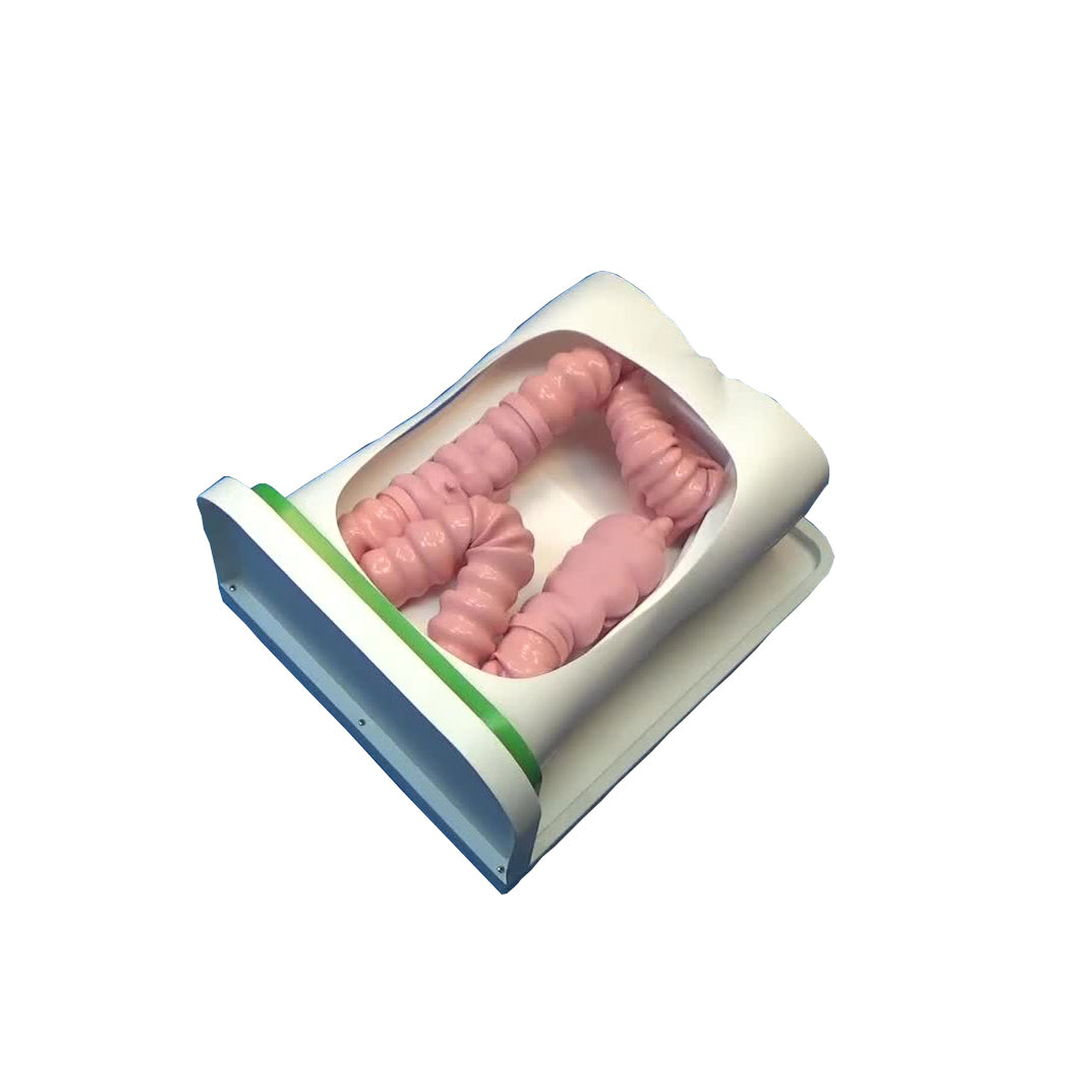 Colonoscopy Training Model