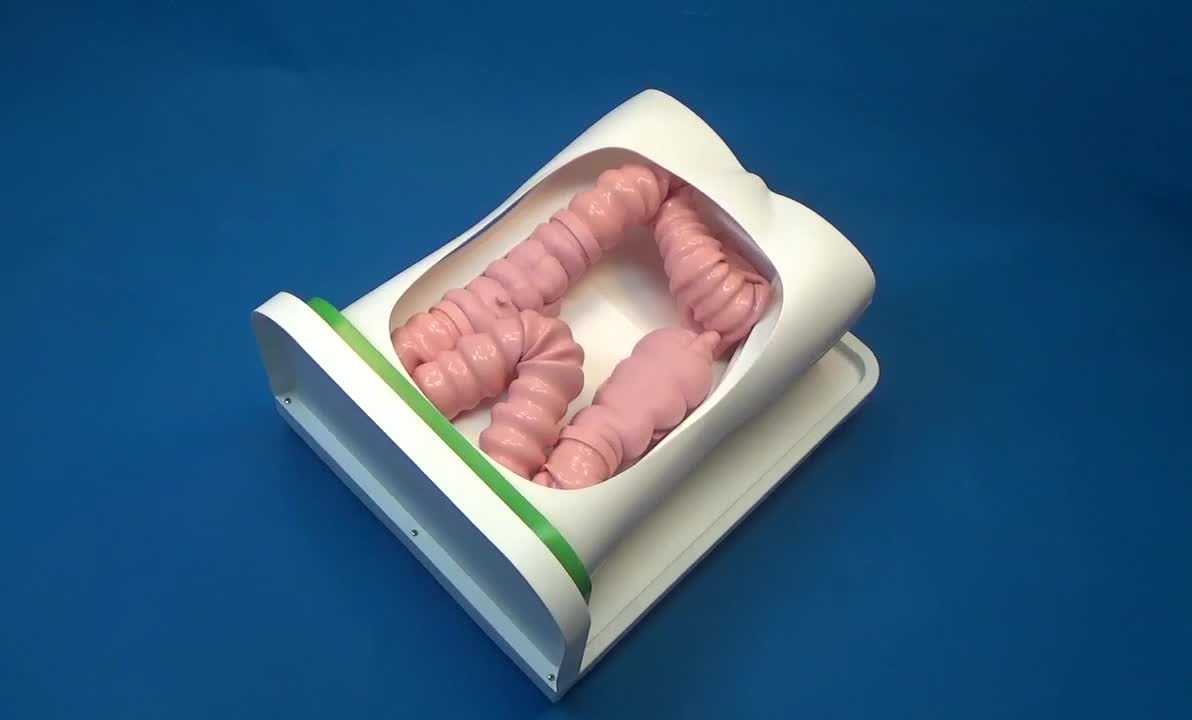 Colonoscopy Training Model