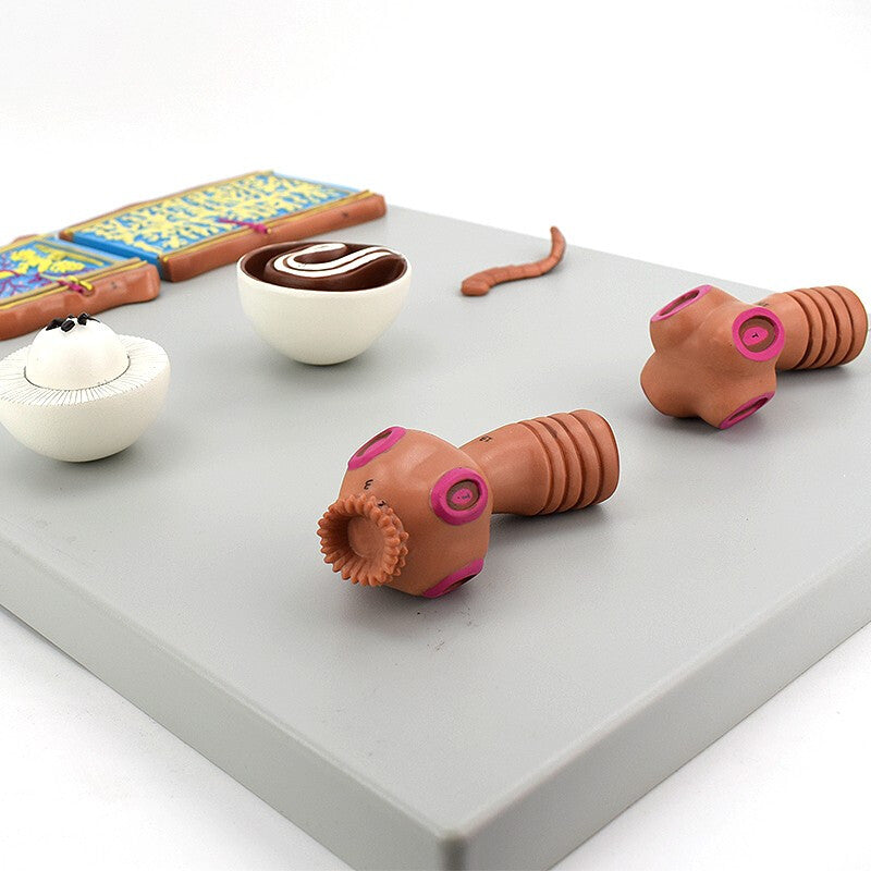 Comparative Tapeworm Model