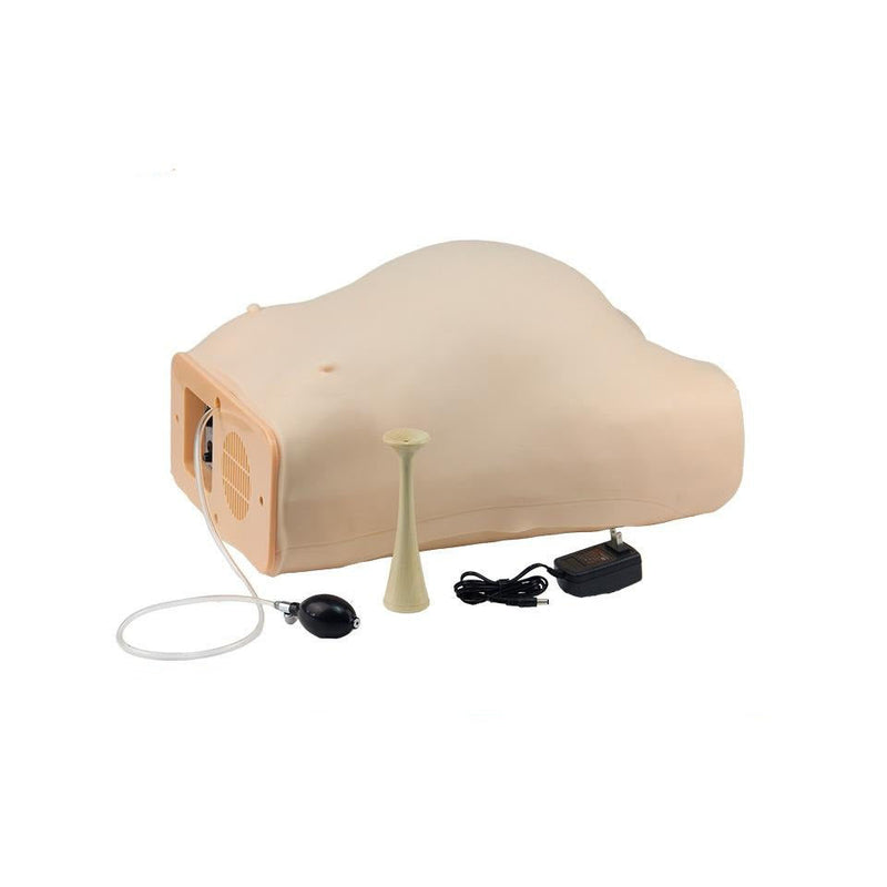 Pregnancy examination model with heartbeat simulation