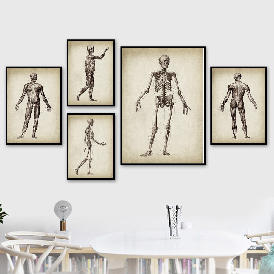 Anatomy Art Print - Human Body