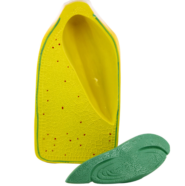 Corn Seed Model, 40X Life-Size