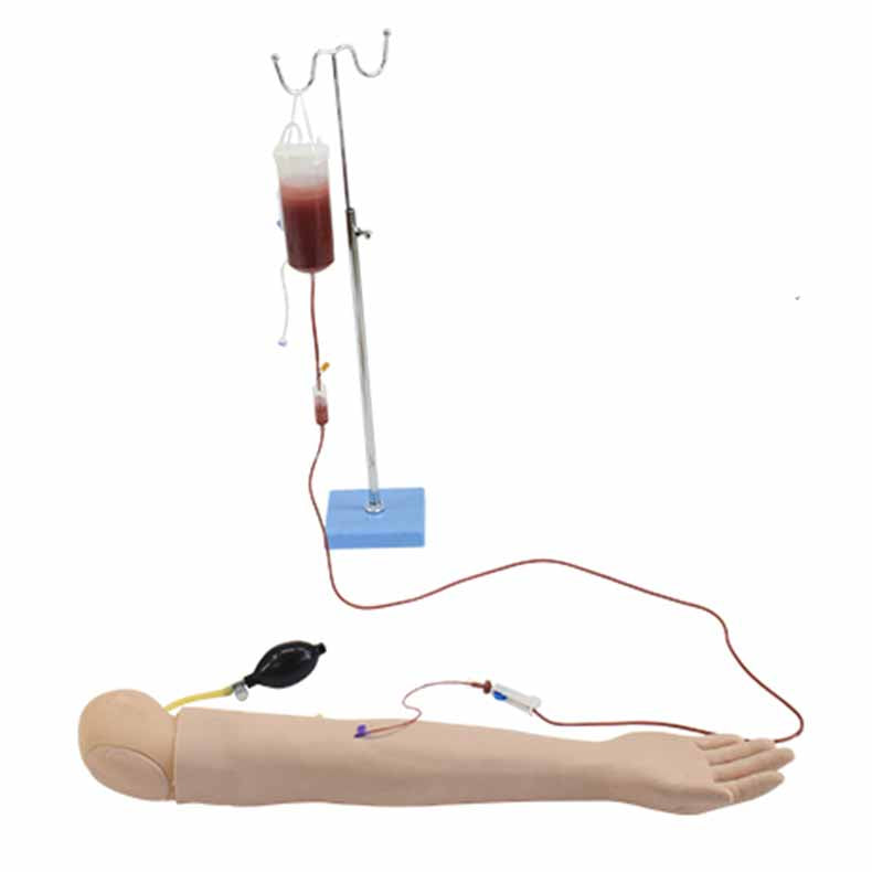 Arterial Puncture Training Arm