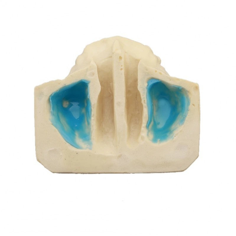 W2013f Dental Sinus Lift Practice Model Cancellous Bone