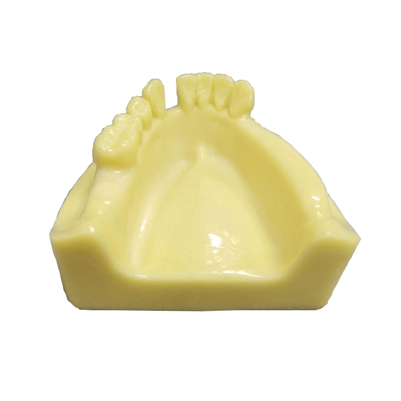 W2028 Dental Mandibular Model Made of Cancellous Bone