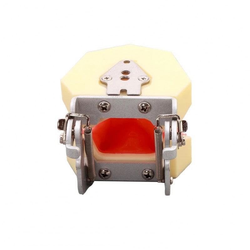 W2030 Dental Implant Practice Model – Dr Wong Anatomy
