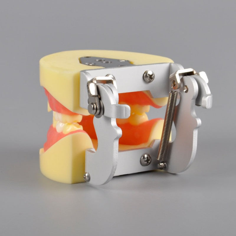 W8016 Dental Extraction Training Model